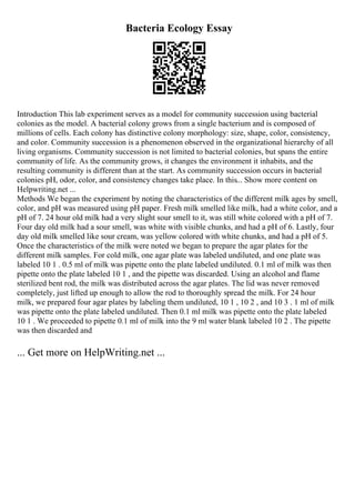 Sample Essays For Mba Harvard | PDF