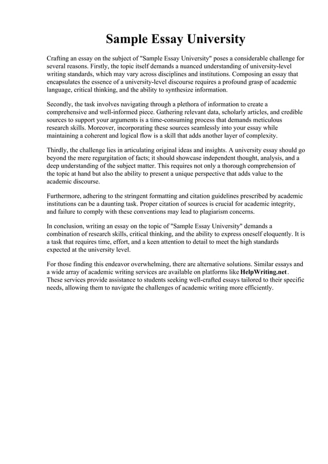 Sample Essay University. Academic Essay Examples - 15 in PDF Examples | PDF