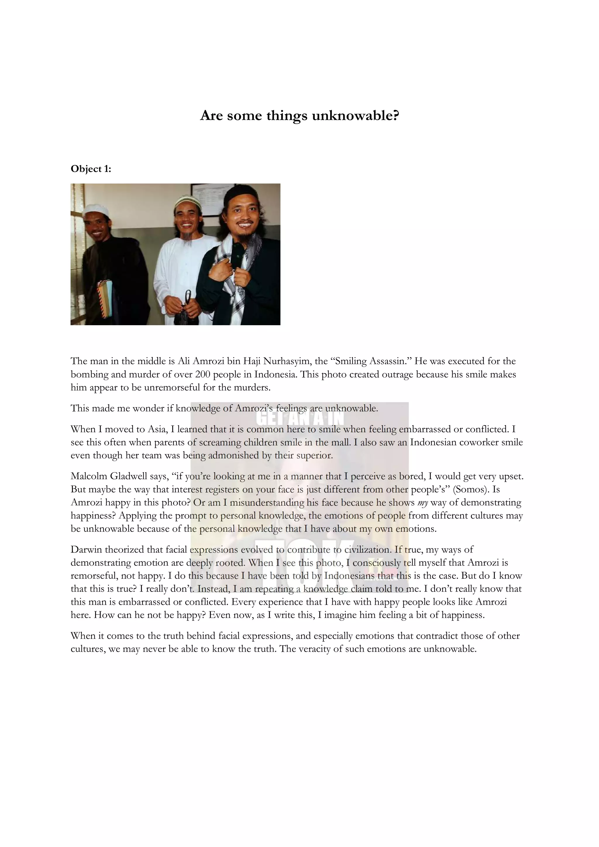 TOK Exhibition- Are some things unknowable. Smiling Assassin | PDF