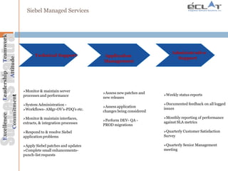 Sample Technical Overview Of Services | PDF