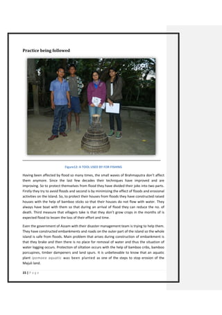 Sample IB ESS EE | PDF