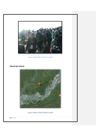 Sample IB ESS EE | PDF