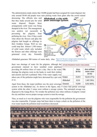Sample IB ESS EE 4 | PDF