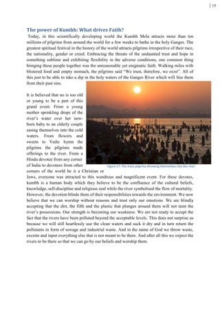 Sample IB ESS EE 4 | PDF