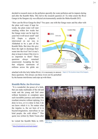 Sample IB ESS EE 4 | PDF