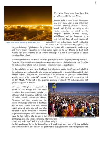 Sample IB ESS EE 4 | PDF