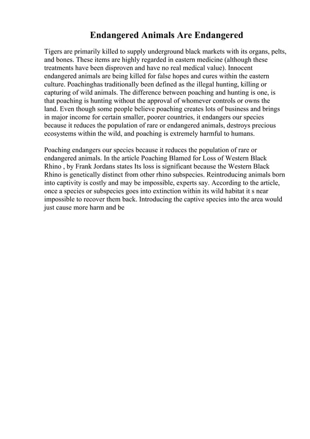 Sample Informative Essay Examples | PDF