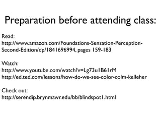 Vision: Light & The Eye (Sample Lecture Slides) | PDF