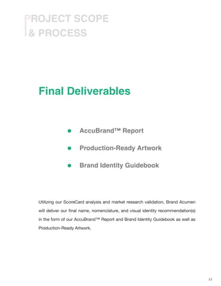 Sample Loyalty Rewards Identity Proposal | PDF