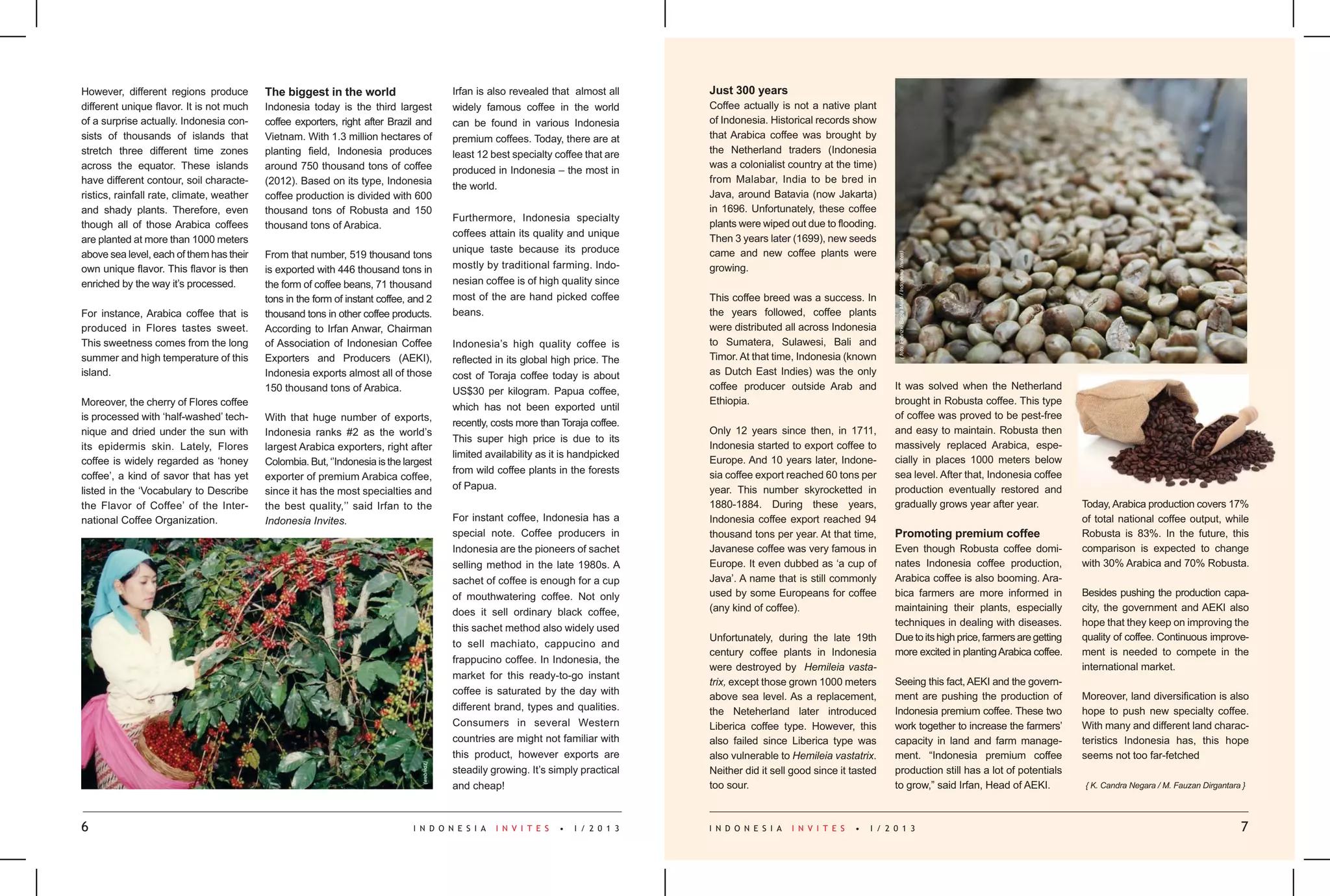 Sample Magazine of Coffee.pdf