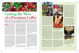 Sample Magazine of Coffee.pdf