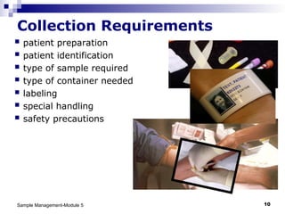 sample management laboratory sample .ppt