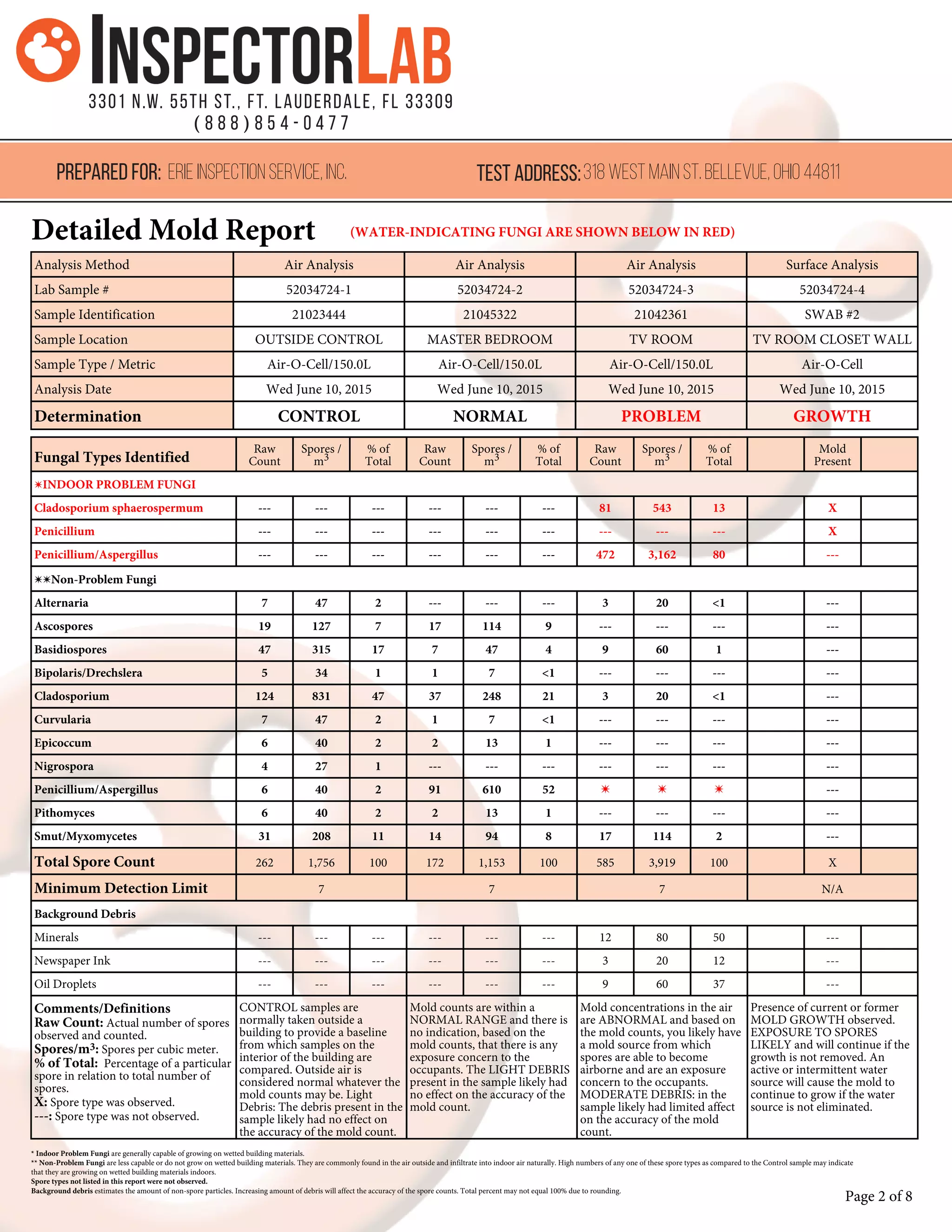Sample Mold Report | PDF | Home & Garden
