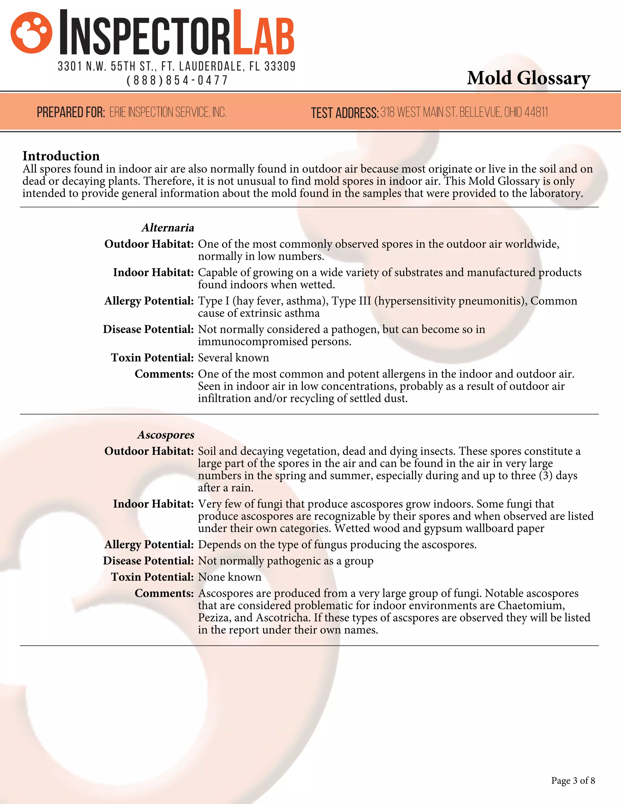 Sample Mold Report | PDF