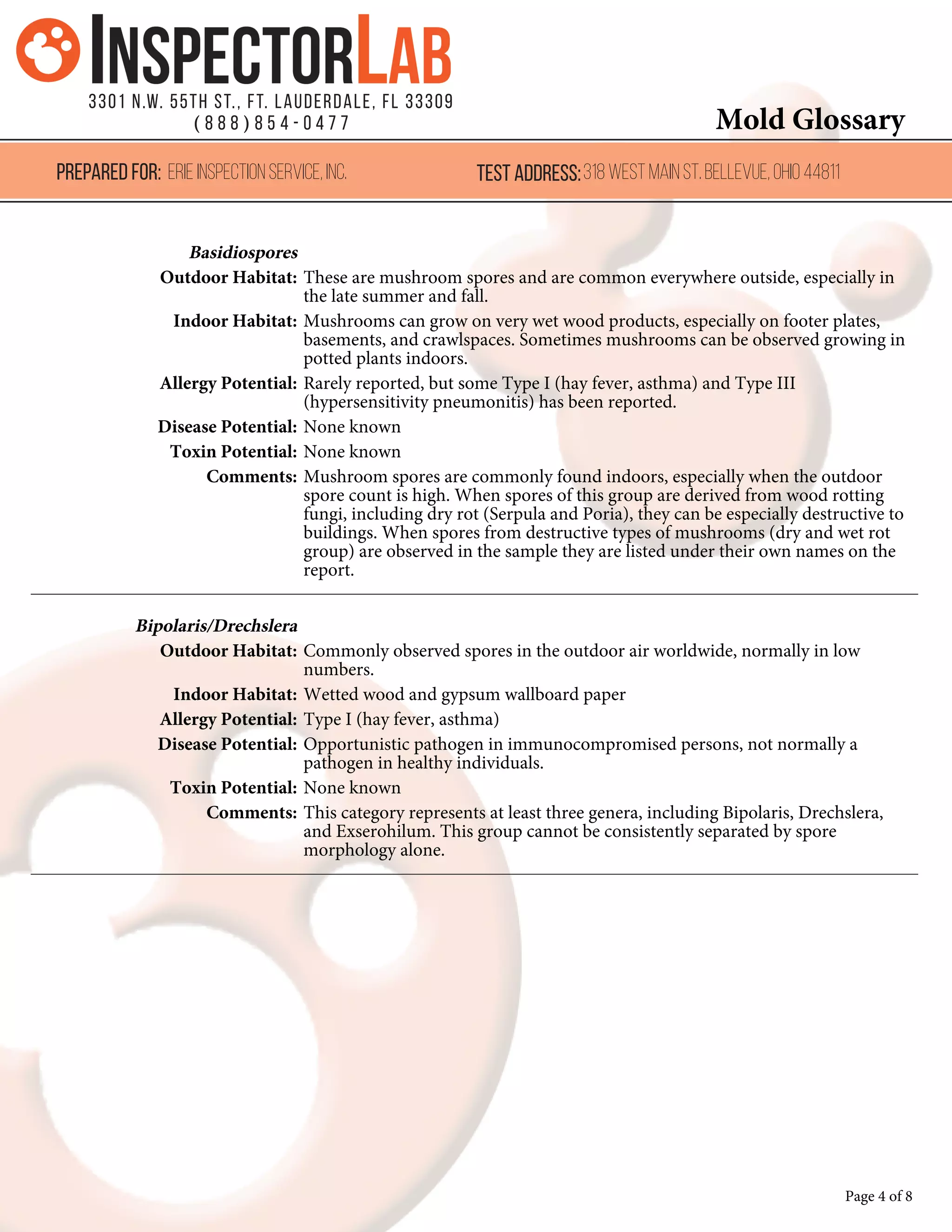Sample Mold Report | PDF