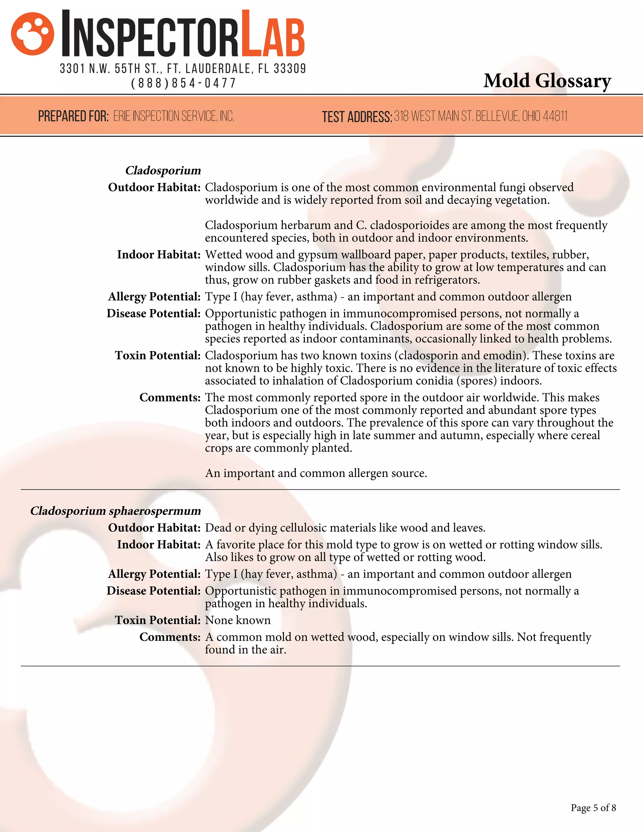 Sample Mold Report | PDF