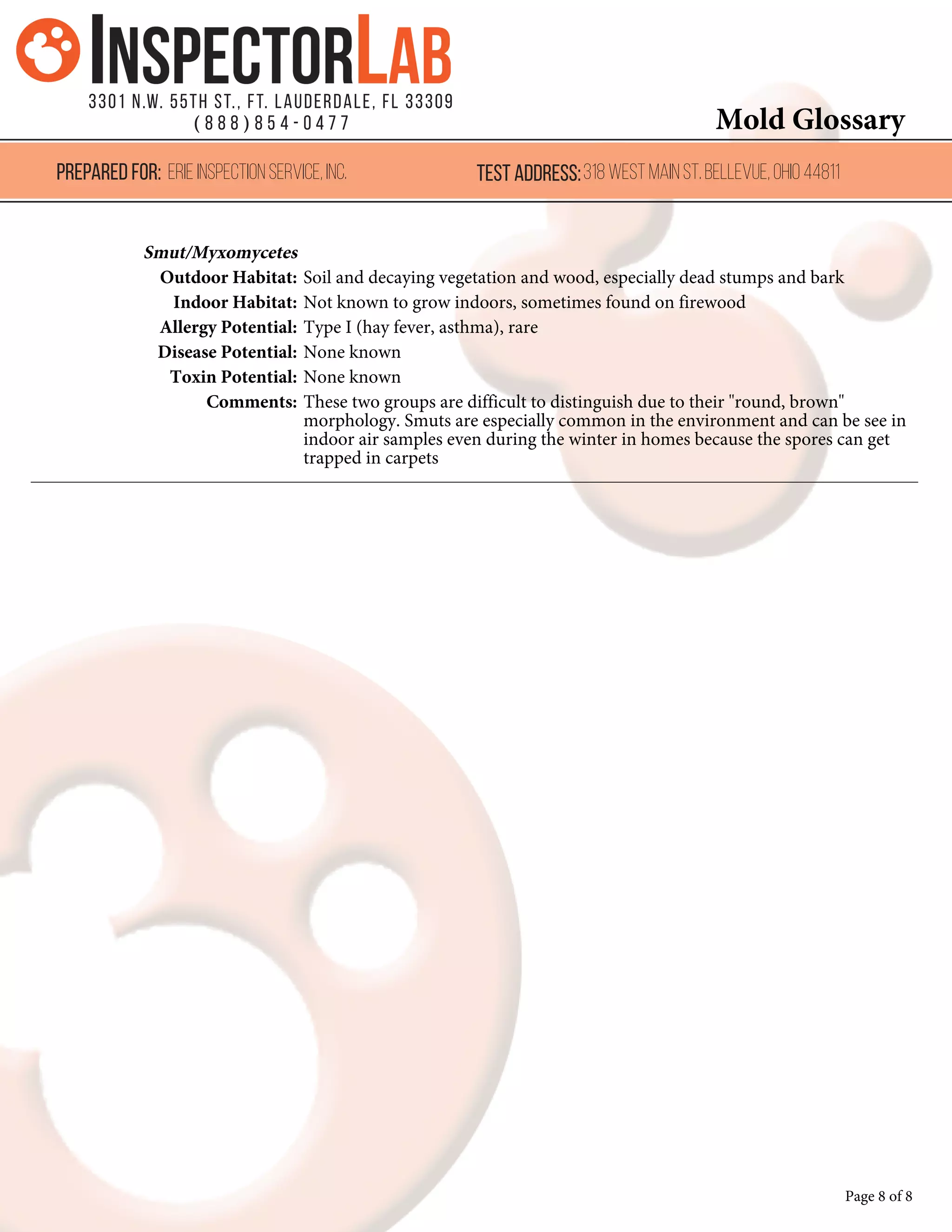 Sample Mold Report | PDF