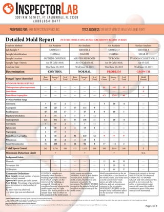 Sample Mold Report | PDF | Home & Garden