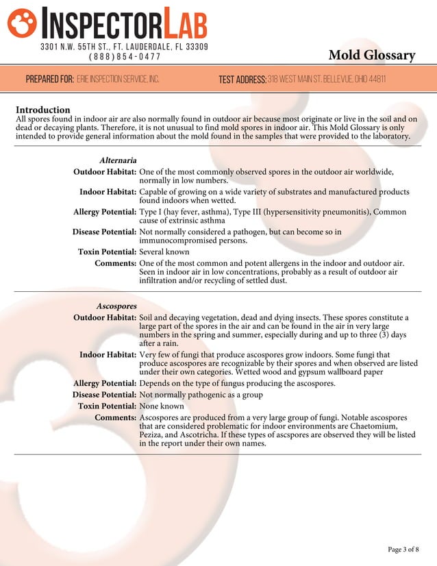 Sample Mold Report | PDF | Home & Garden