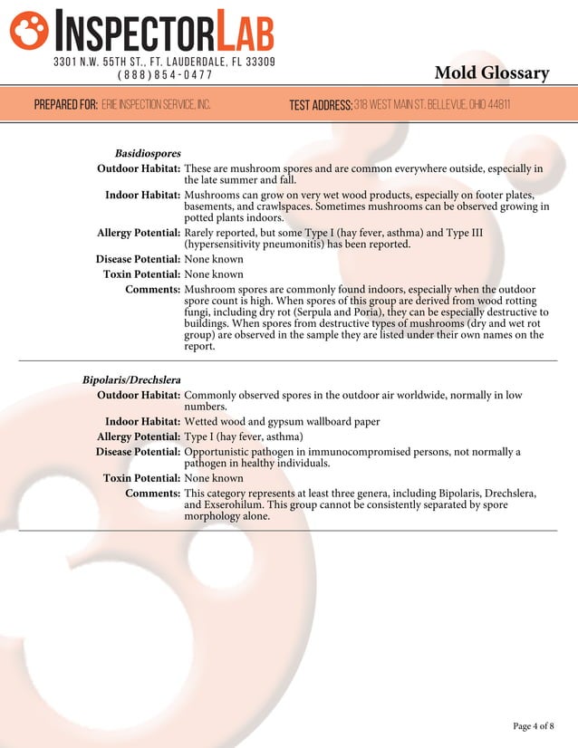 Sample Mold Report | PDF | Home & Garden
