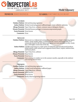 Sample Mold Report | PDF | Home & Garden