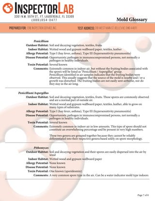 Sample Mold Report | PDF | Home & Garden