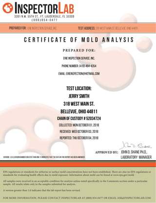 Sample Mold Report