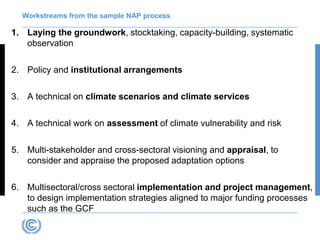 The sample NAP process based on the UNFCCC NAP technical guidelines | PDF