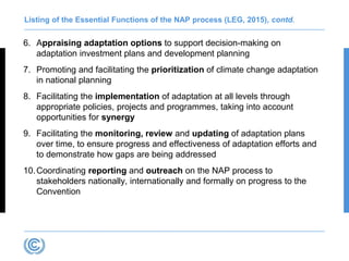 The sample NAP process based on the UNFCCC NAP technical guidelines | PDF