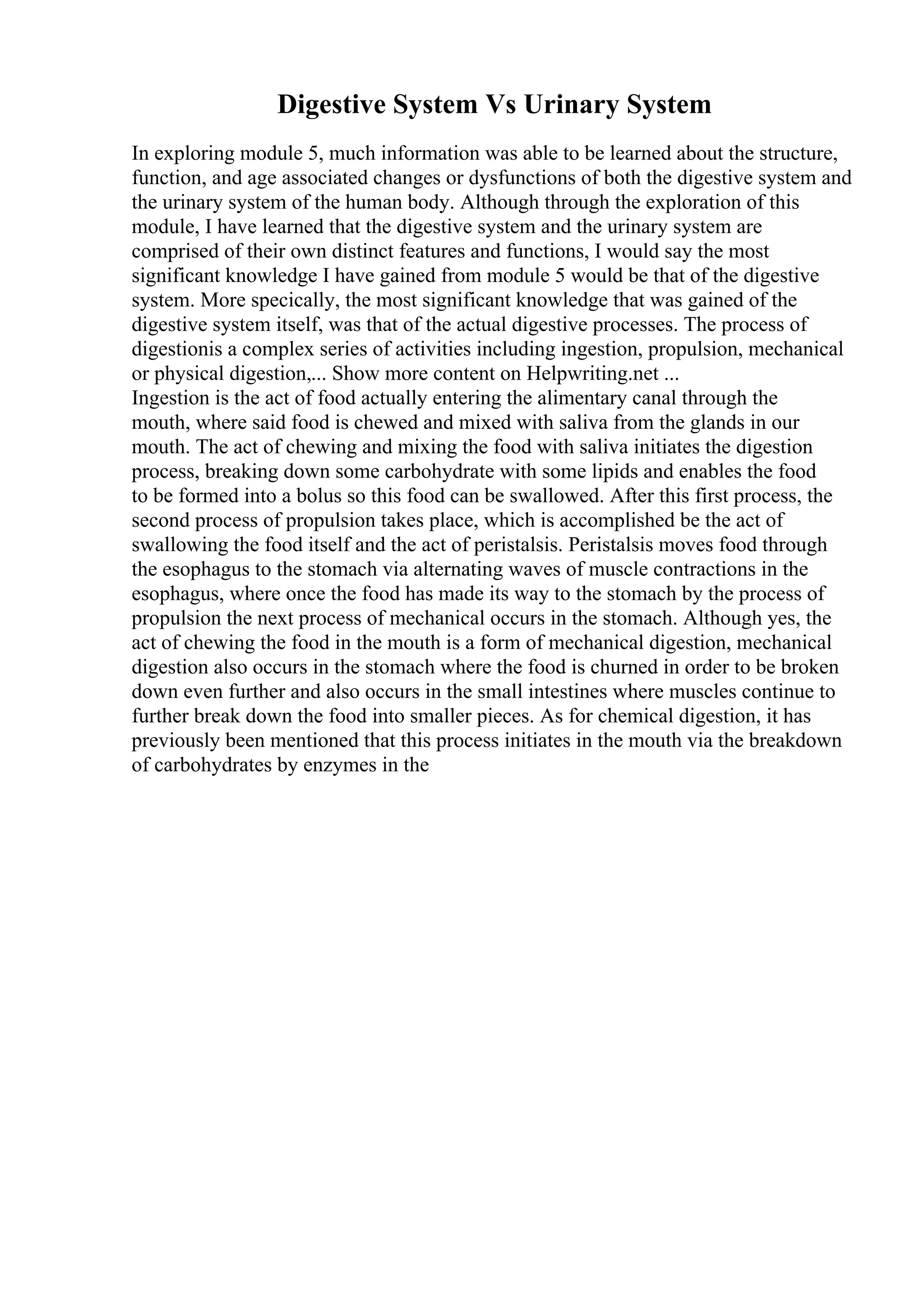 Sample Of Discussion Essay. Discussion Essay Example | PDF