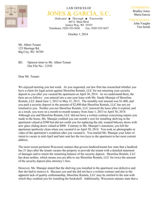 Sample opinion letter | PDF