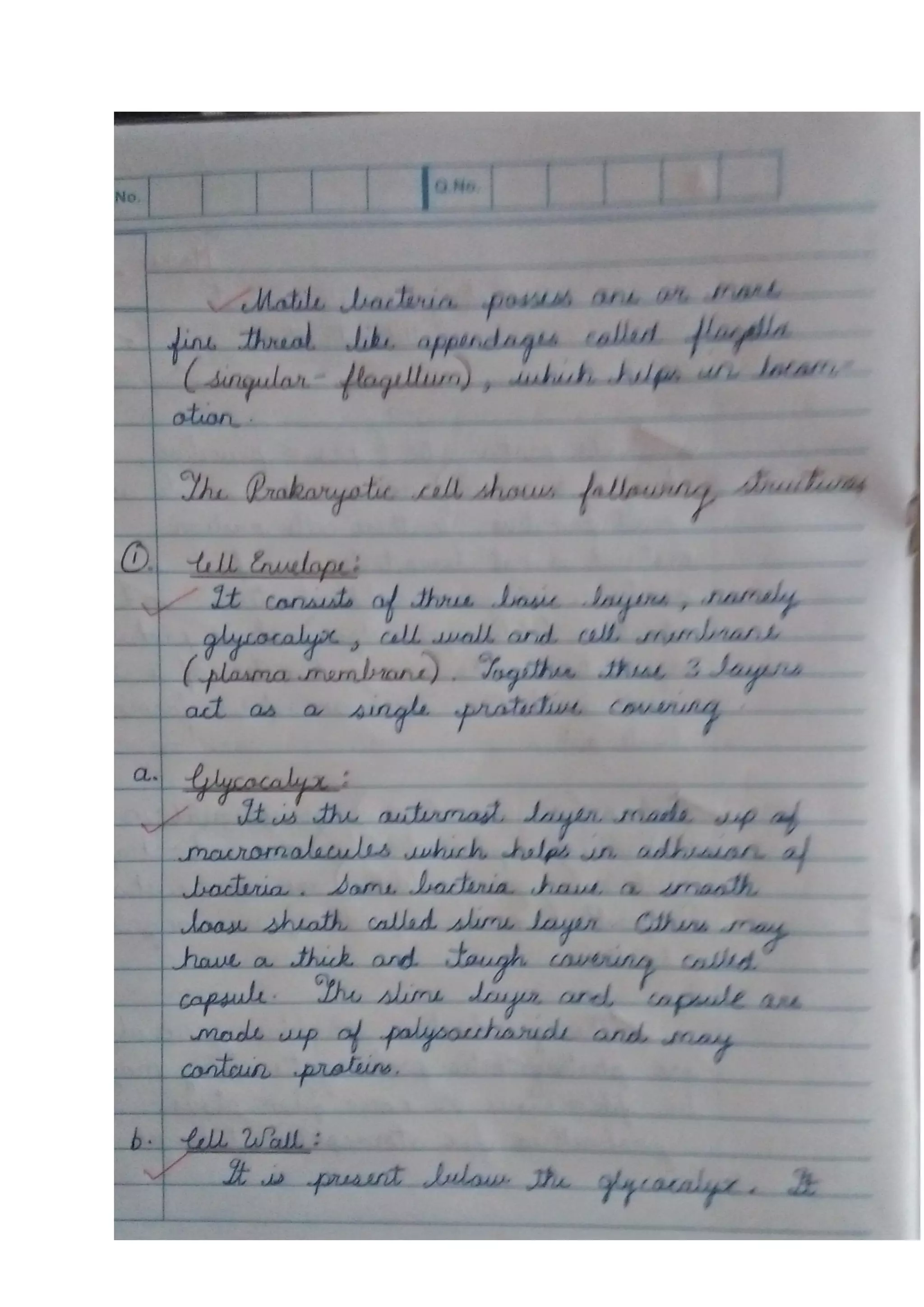 How to Write answer : Sample Paper | PDF