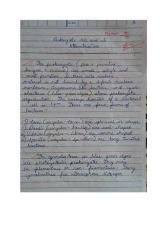 How to Write answer : Sample Paper | PDF