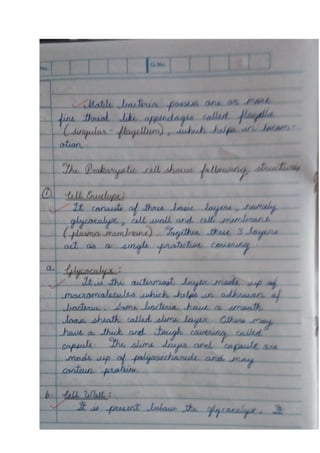How to Write answer : Sample Paper | PDF