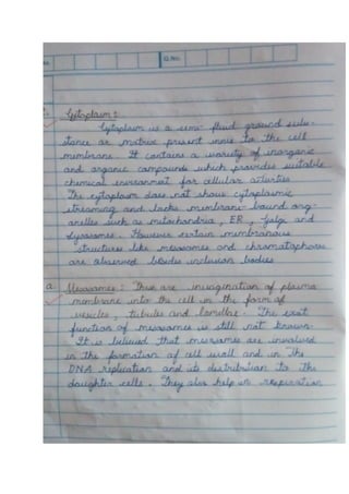 How to Write answer : Sample Paper | PDF