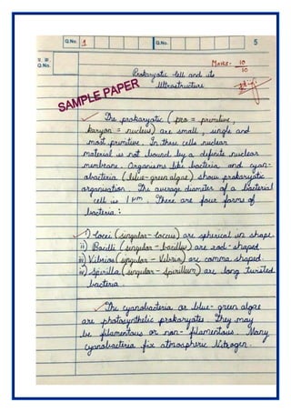 How to Write answer : Sample Paper | PDF