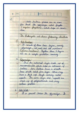 How to Write answer : Sample Paper | PDF