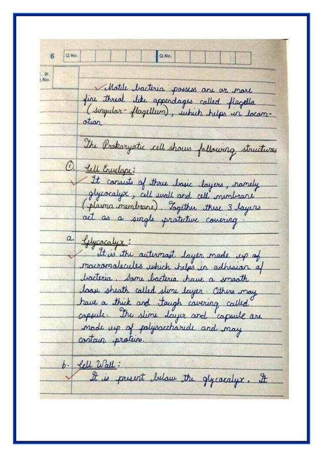 How to Write answer : Sample Paper | PDF