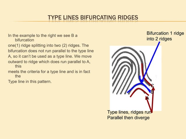 Sample Sample Pattern Area training Module | PPSX | Geography | Science