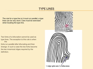 Sample Sample Pattern Area training Module | PPSX | Geography | Science