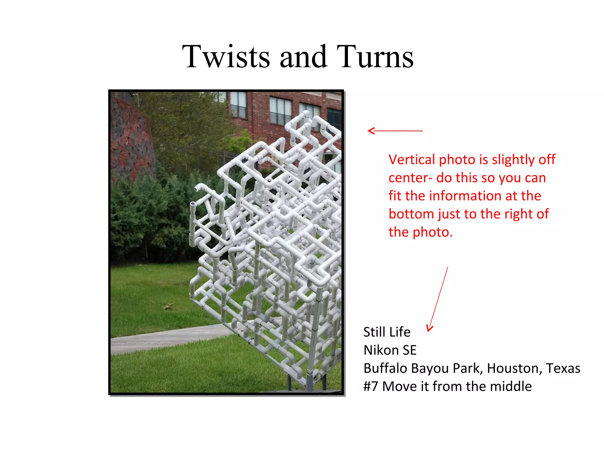 Sample Photo Portfolio | PPT