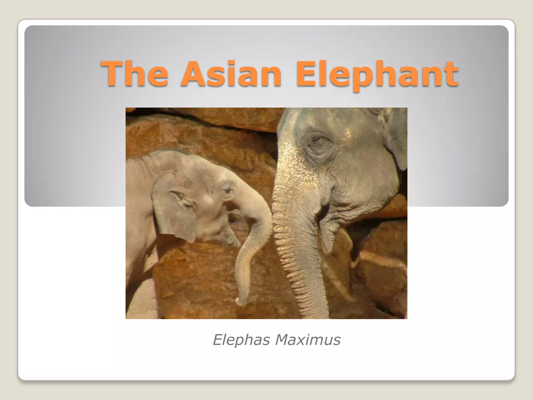 Sample Powerpoint Pres Pptx