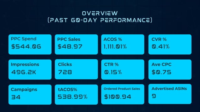 Sample PPC audit_ajaldea.pdf