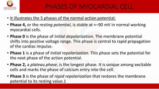 Sample PPT for presentation-25.pptx
