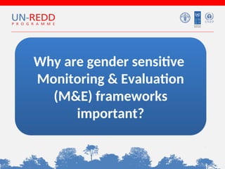 Sample_PPT_Gender-Sensitive_Indicator_Development.ppt