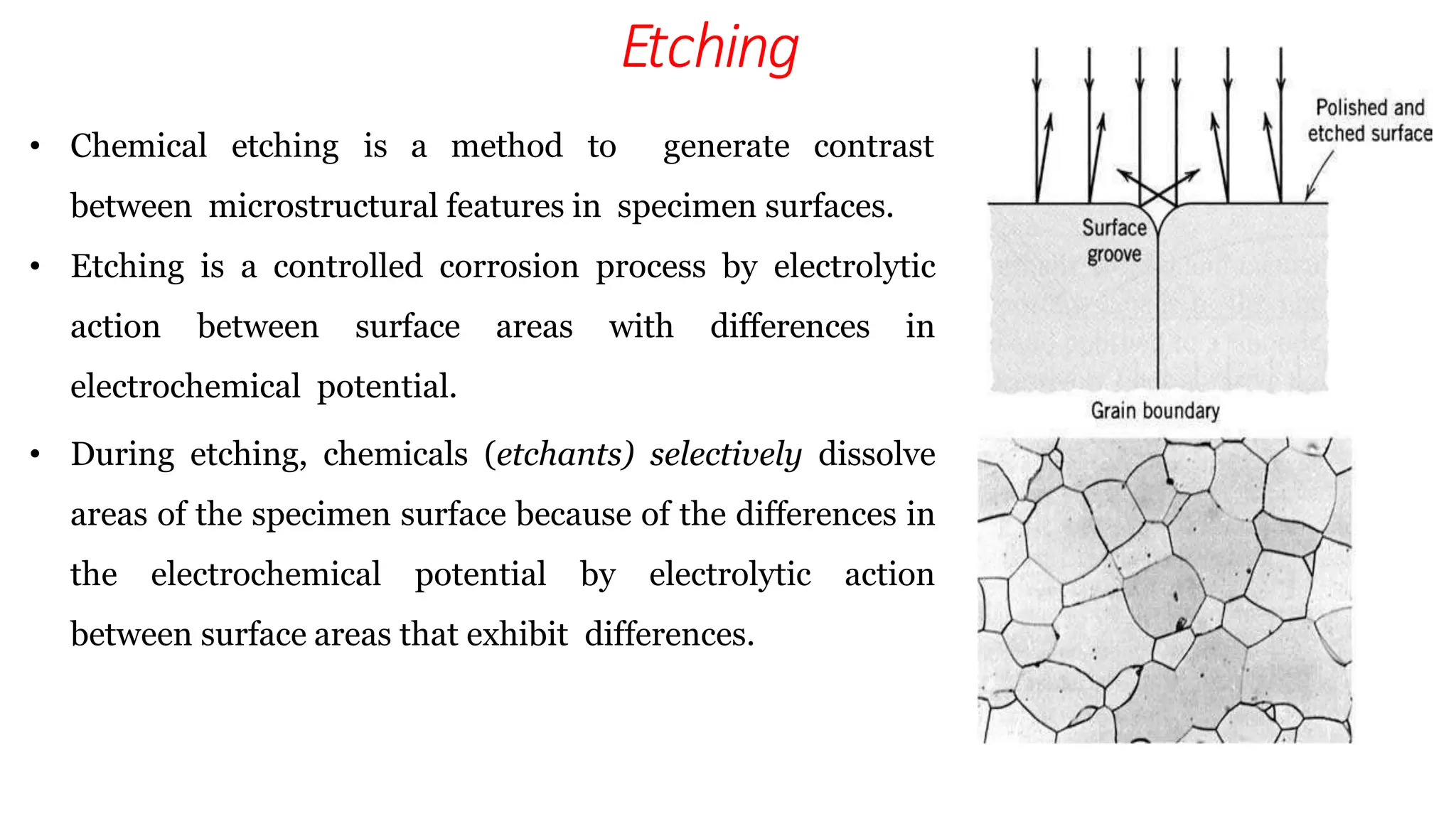 Sample Preparation.pdf | Free Download