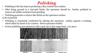 Sample Preparation.pdf | Free Download
