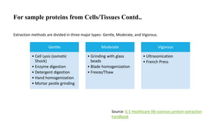 Protein/DNA Sample preparation methods | PPTX