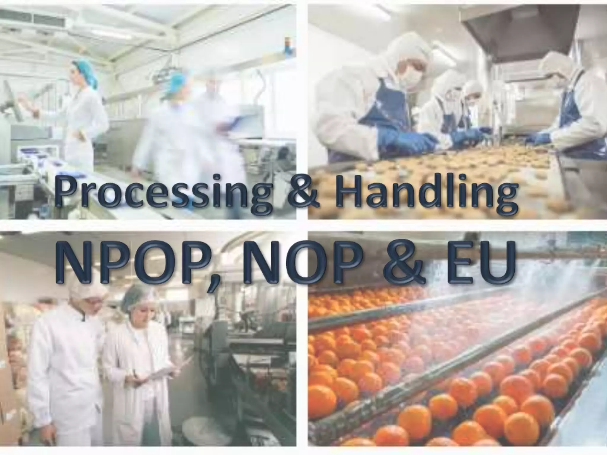 ORGANIC PROCESSING AND HANDLING EXPLAINED SIMPLE | PPTX