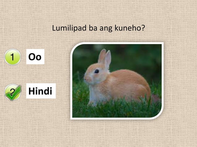 Sample presentation regie | PPT